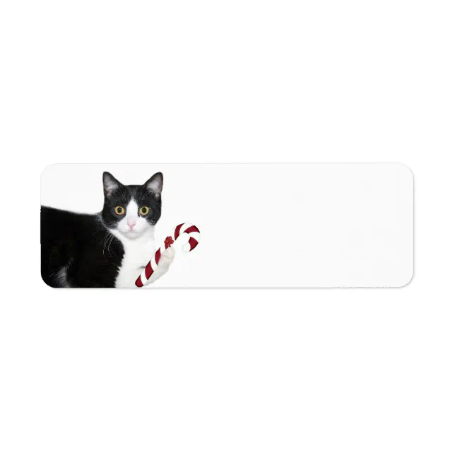 Black and white cat Christmas Label | Zazzle