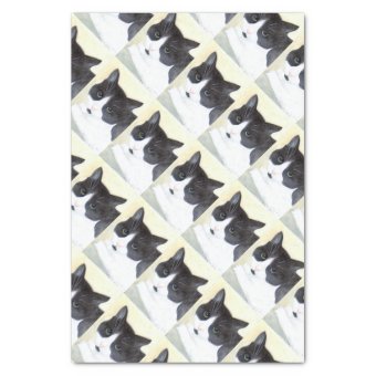 Black and White Cat Tissue Paper | Zazzle