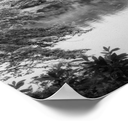 Black and white, cool, unique nature and lake poster | Zazzle