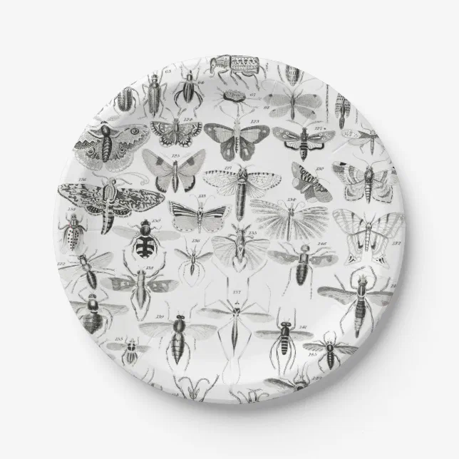 Black and White Entomology Insects Bugs Paper Plates | Zazzle