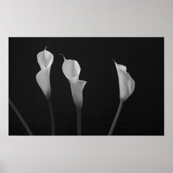 Black and White Flowers Poster | Zazzle