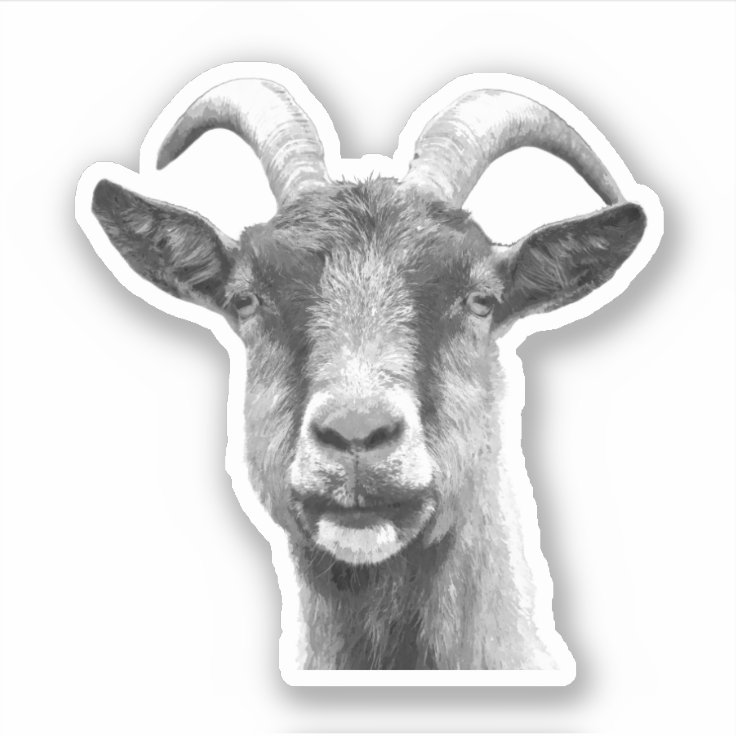 Black and White Goat Sticker | Zazzle