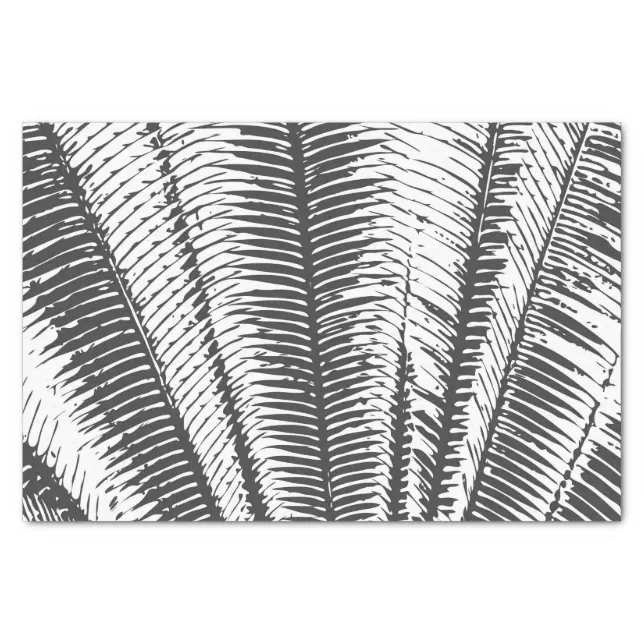 Black and White Modern Tropical Palm Fronds Tissue Paper | Zazzle