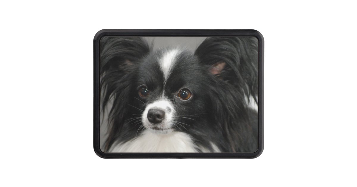 Black and White Papillon Hitch Cover | Zazzle