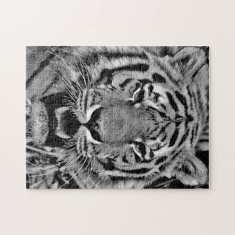 Black and White Tiger Face Jigsaw Puzzle | Zazzle