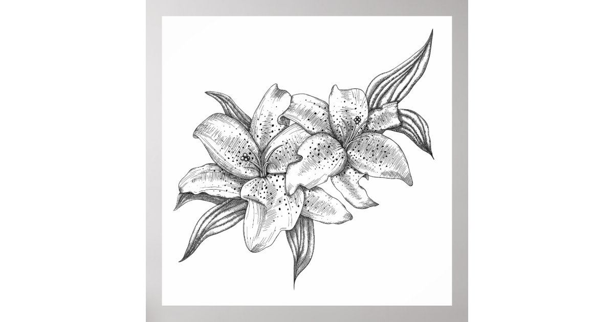 Black and White Tiger Lily Poster | Zazzle