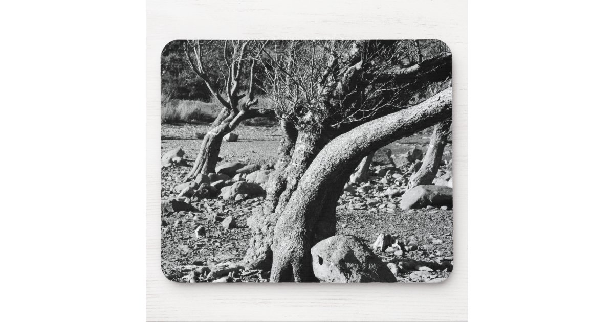 BLACK AND WHITE TREES MOUSE PAD | Zazzle