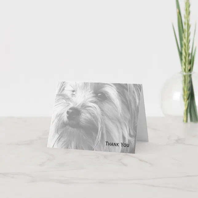 Black and White Yorkshire Terrier Yorkie Thank You Card | Zazzle