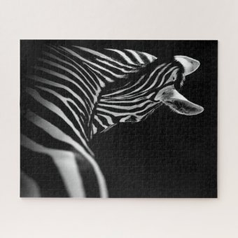 black and white zebra jigsaw puzzle | Zazzle