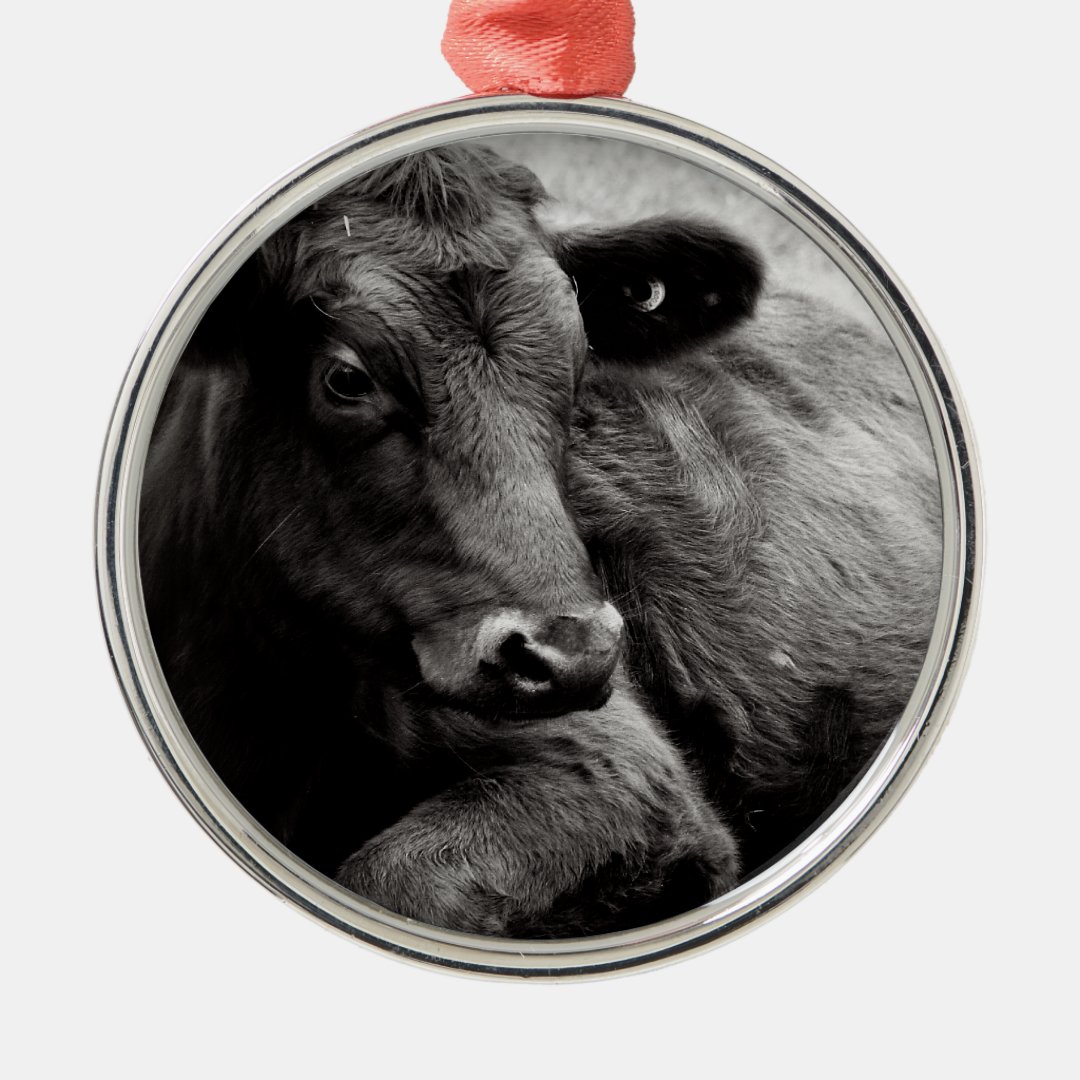 Black Angus Beef Cow Metal Ornament | Zazzle