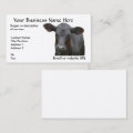 Black Angus Calf for Cattle Rancher Business Card | Zazzle