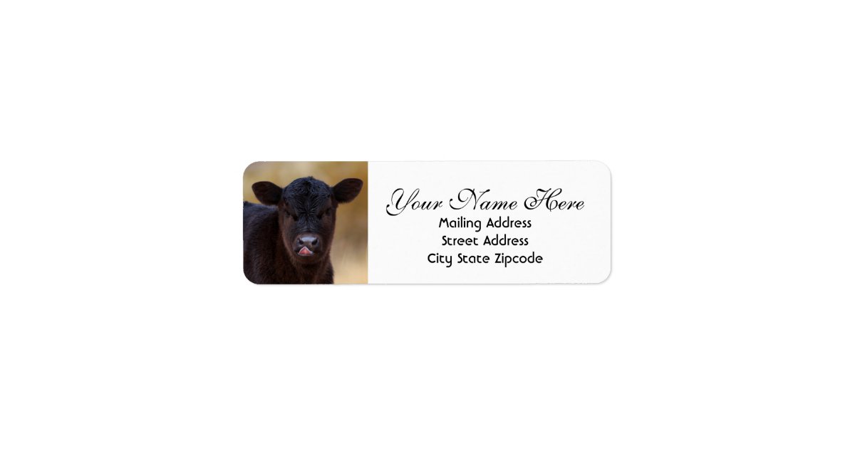 Black Angus Calf Return Address Label | Zazzle