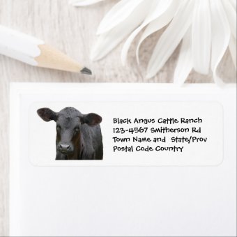 Black Angus Cattle Farm or Ranch Sticker | Zazzle