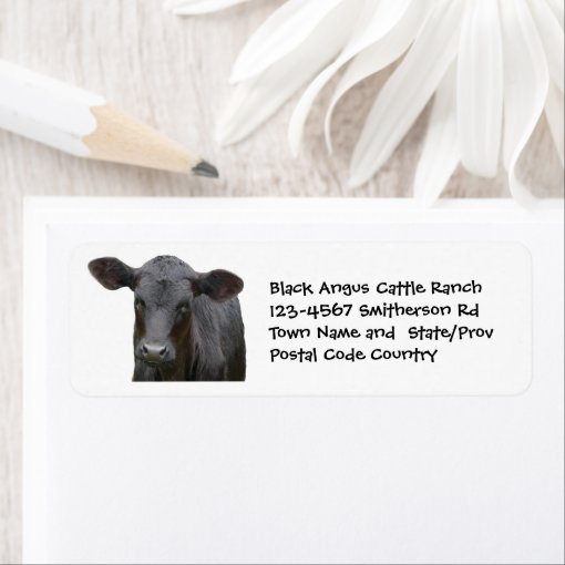 Black Angus Cattle Farm or Ranch Sticker | Zazzle