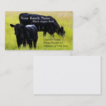 Black Angus Cattle Grazing in Field Business Card | Zazzle