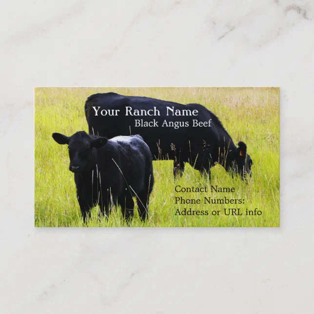 Black Angus Cattle Grazing in Field Business Card | Zazzle