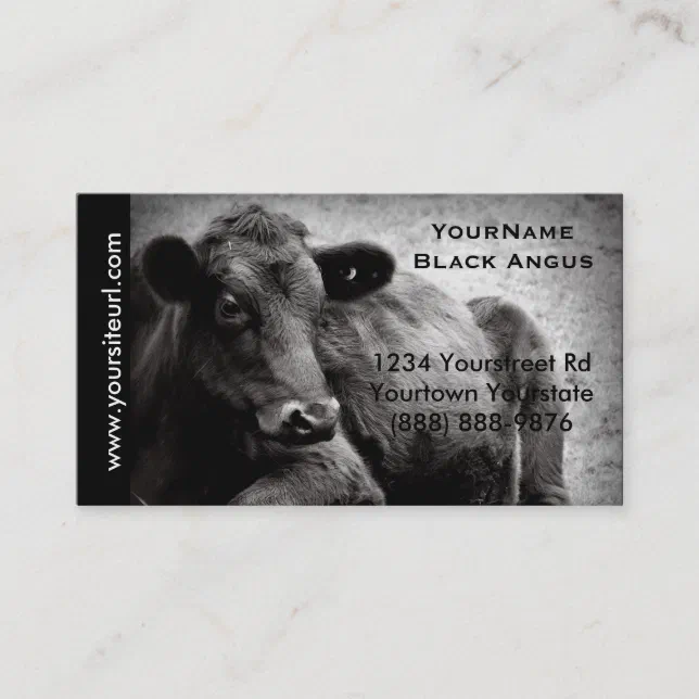 Black Angus Cattle Photo for Beef Ranch or Farm Business Card | Zazzle