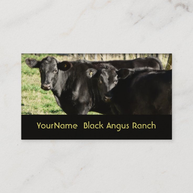 Black Angus Cattle Ranch Business Card | Zazzle