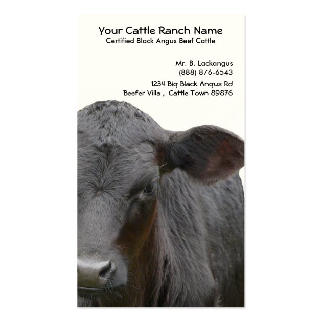 Black Angus Cattle Ranch Business Card