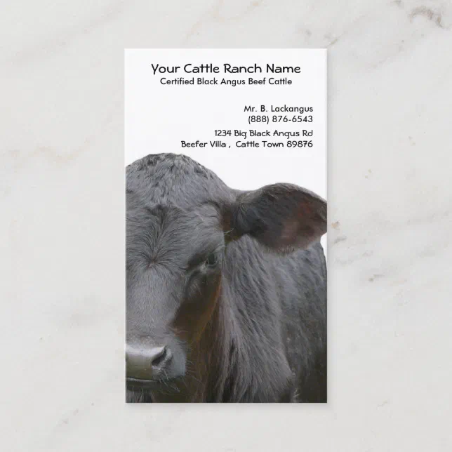 Black Angus Cattle Ranch Business Card | Zazzle