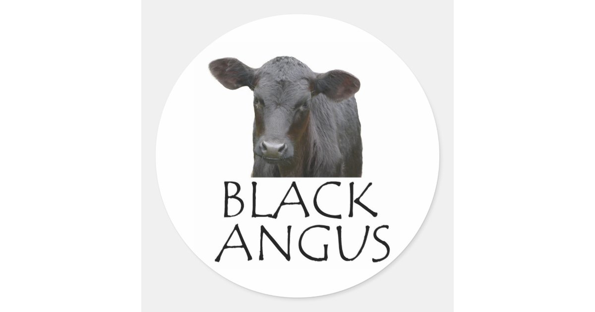 Black Angus Cow Classic Round Sticker | Zazzle