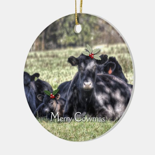 Black Angus Cows Christmas Ornaments | Zazzle