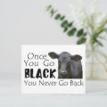 Black Angus Funny Cow Photo Postcard | Zazzle