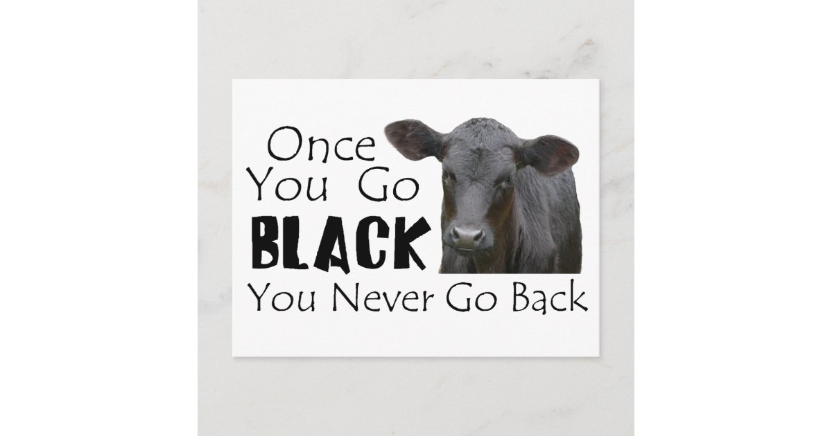 Black Angus Funny Cow Photo Postcard | Zazzle