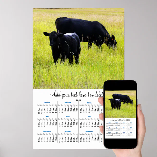 Black Angus in Yellow Grass 2011 wall calendar Poster | Zazzle