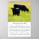 Black Angus in Yellow Grass 2011 wall calendar Poster | Zazzle
