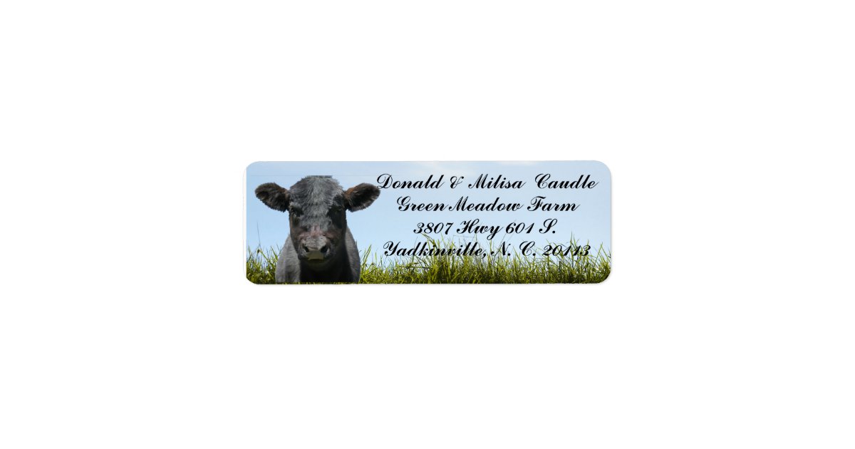 BLACK ANGUS LABEL | Zazzle