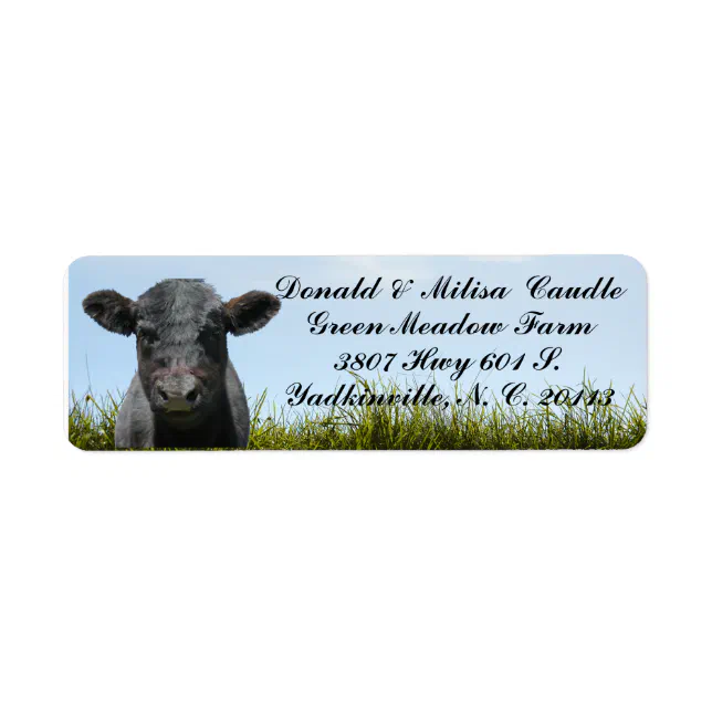BLACK ANGUS LABEL | Zazzle