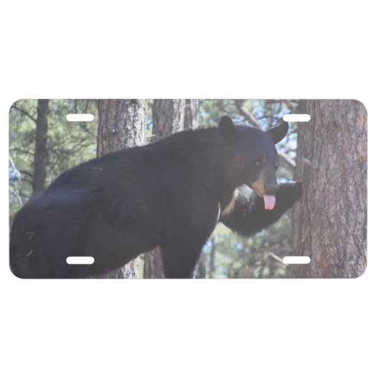 Black Bear Aluminum License Plate | Zazzle.com