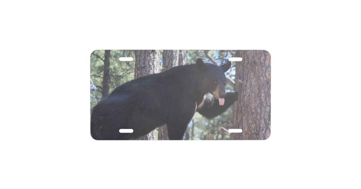 Black Bear Aluminum License Plate | Zazzle