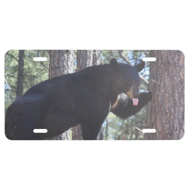 Black Bear Aluminum License Plate | Zazzle