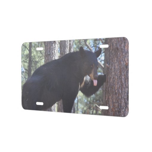 Black Bear Aluminum License Plate | Zazzle