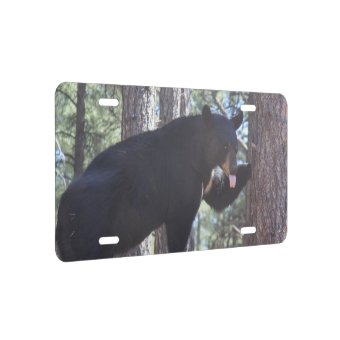 Black Bear Aluminum License Plate | Zazzle