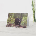 Bearable Get Well Teddy Bear w/ Flowers, Religious Card | Zazzle.com