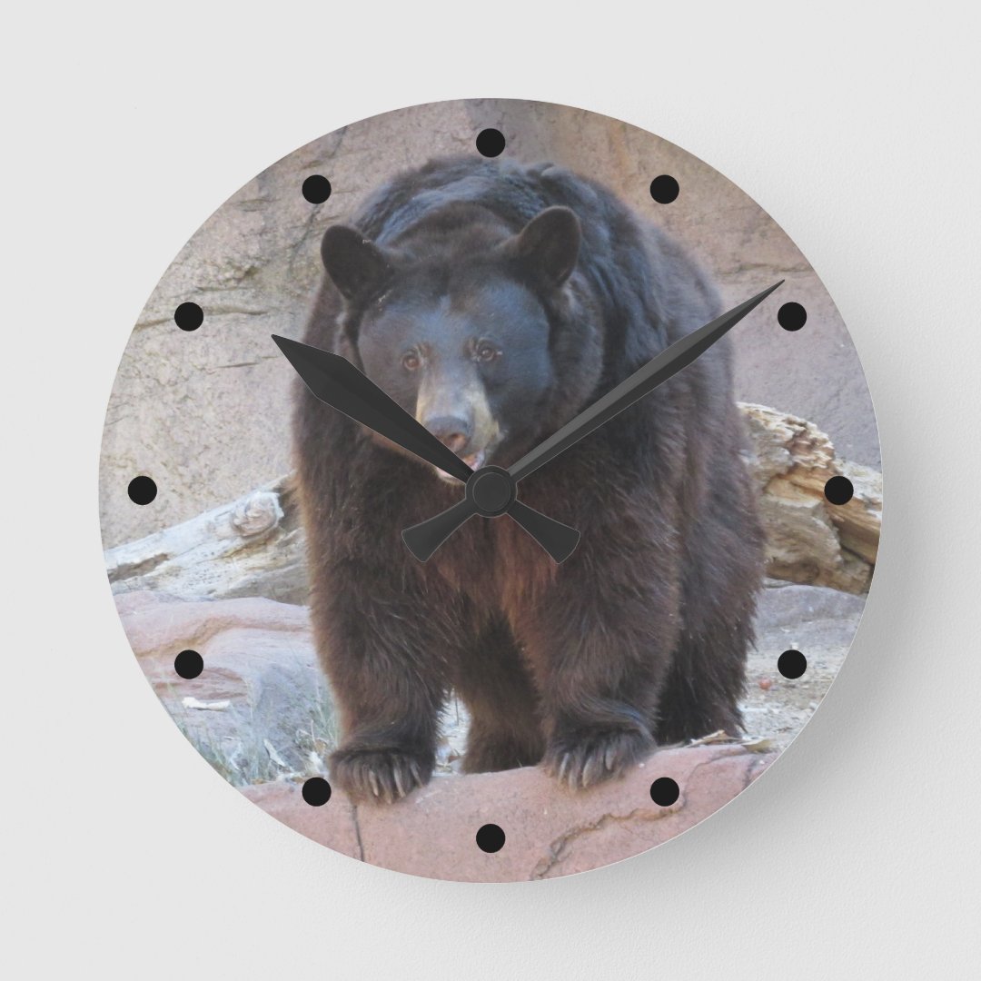 Black Bear Clock | Zazzle