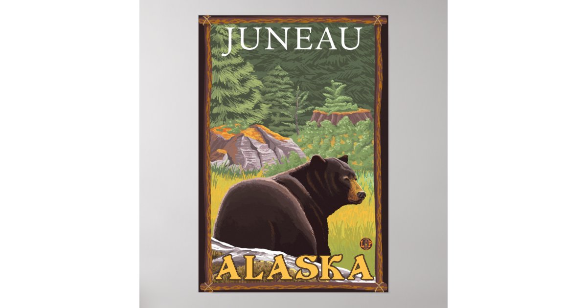 Black Bear in Forest - Juneau, Alaska Poster | Zazzle