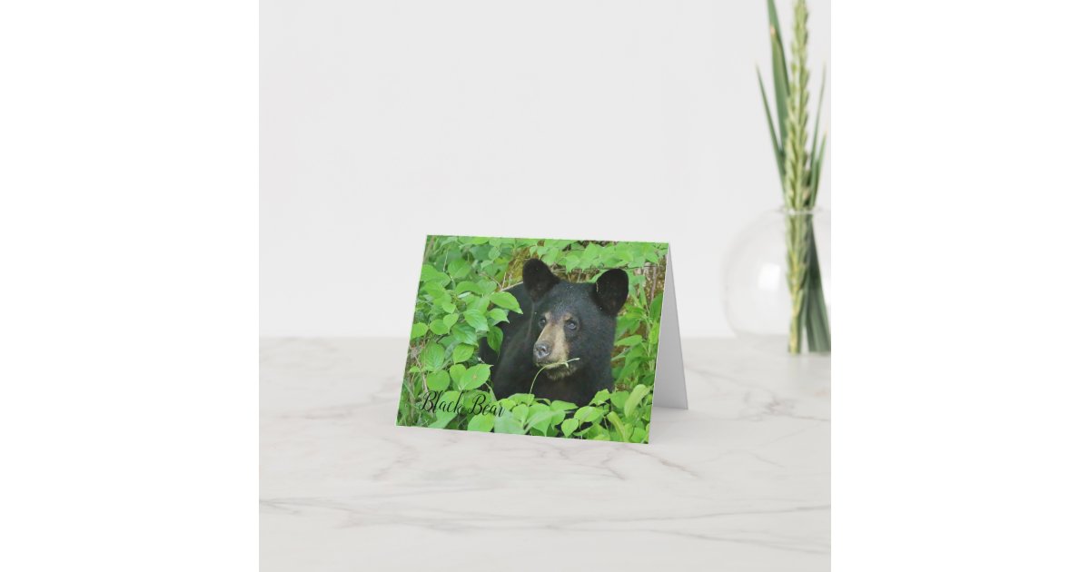 Black Bear Note Card | Zazzle
