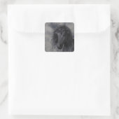 Black Beauty Sticker | Zazzle