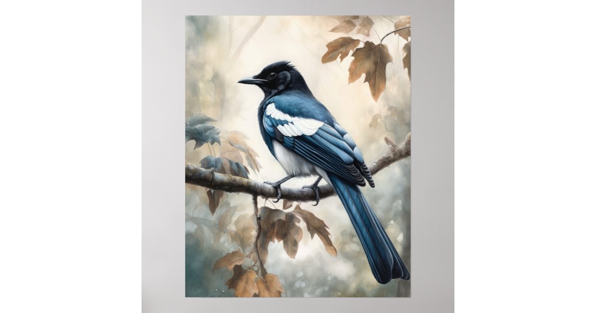 Black Billed Magpie Bird Art Print Poster | Zazzle