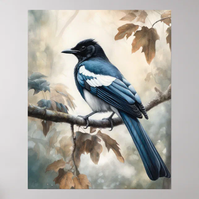 Black Billed Magpie Bird Art Print Poster | Zazzle
