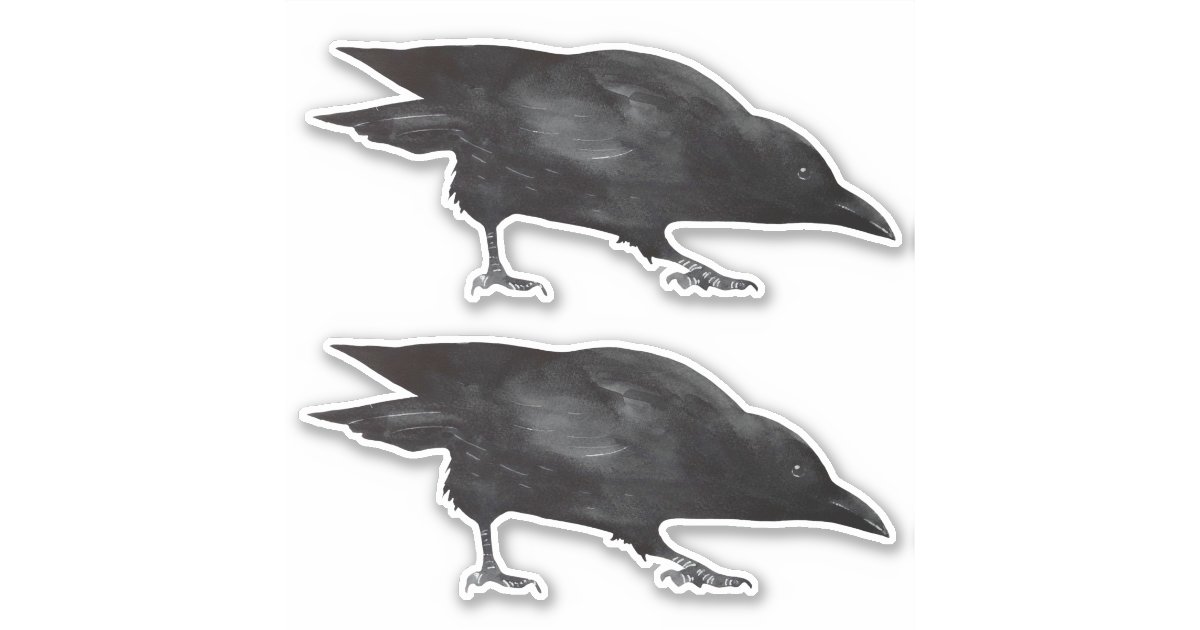 Black Birds Crow Sticker | Zazzle