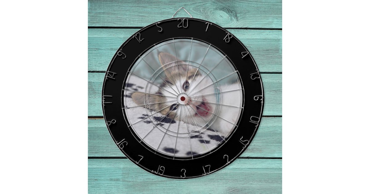 Black Border Circle Photo Dart Board | Zazzle
