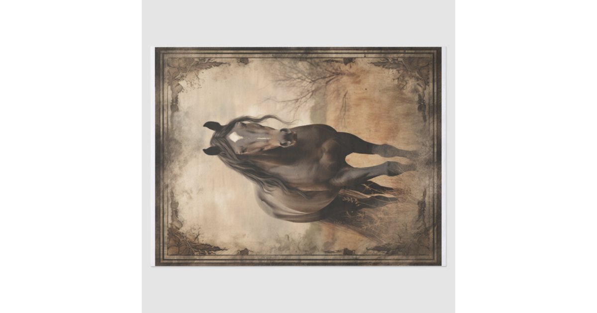 Black Brown Horse Decoupage Tissue Paper | Zazzle