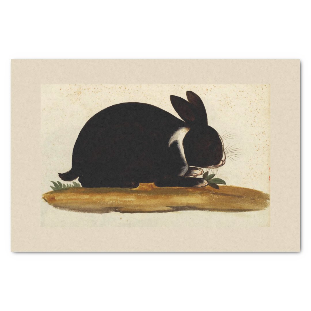 BLACK BUNNY RABBIT Custom 10lb Tissue Paper, White Tissue Paper | Zazzle