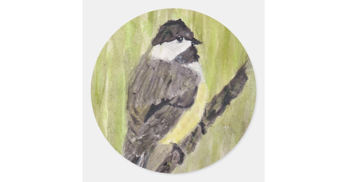 Black-capped Chickadee Bird - acrylic painting. Classic Round Sticker ...