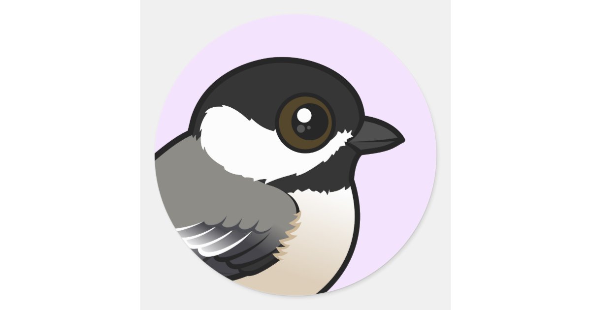 Black-capped Chickadee Classic Round Sticker | Zazzle